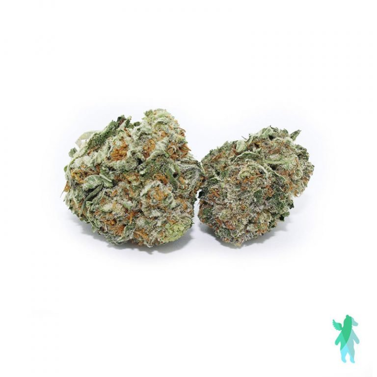 Shop Best Cannabis, Marijuana Deals in Vancouver, Canada