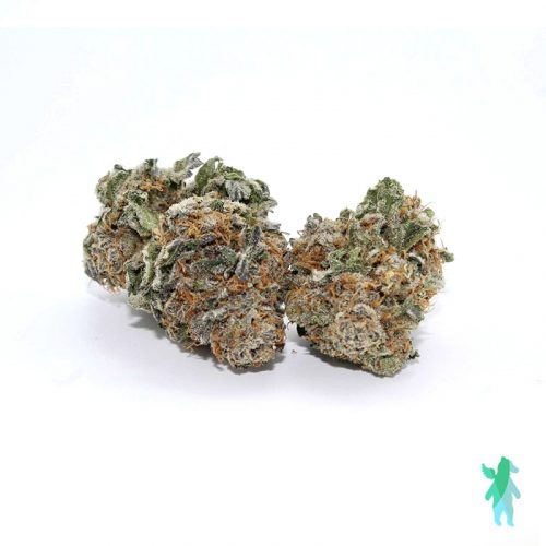 Blue Coma (AAAA) | Buy High Quality Online in BC Canada